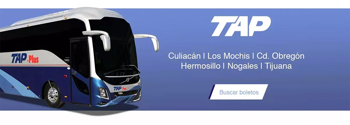 Omnibus de México | Boletos de Autobús